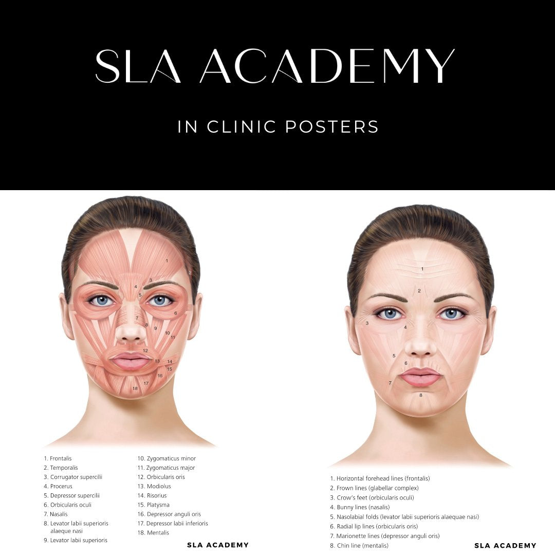 Clinic Posters – SLA Medical Shop